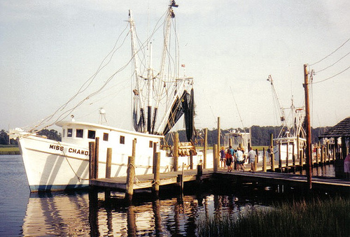 Calabash and Beach Information- Calabash NC, Vacation NC Beaches