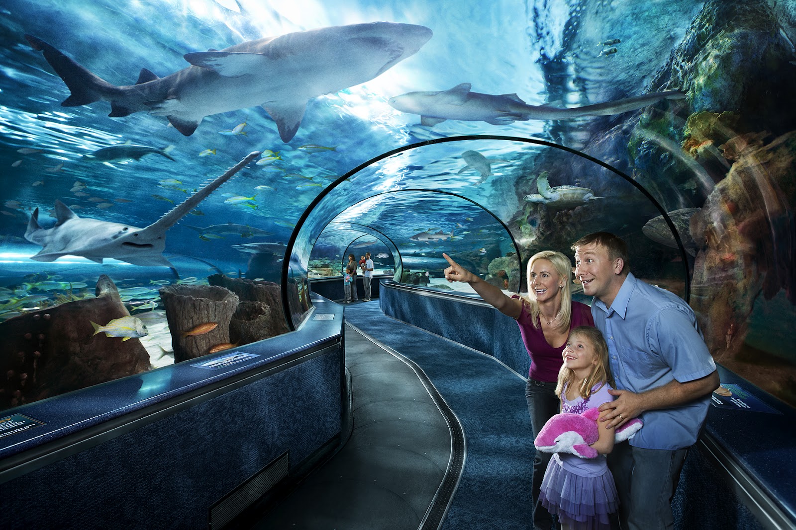 Ripley's Aquarium - Calabash NC - CalabashTown.com